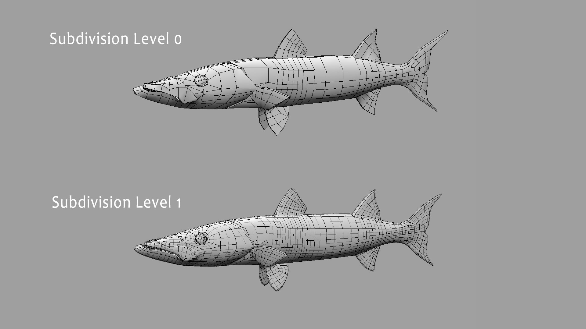 Realistic Barracuda Fish 3d Lwo