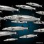 Realistic Barracuda Fish 3d Lwo