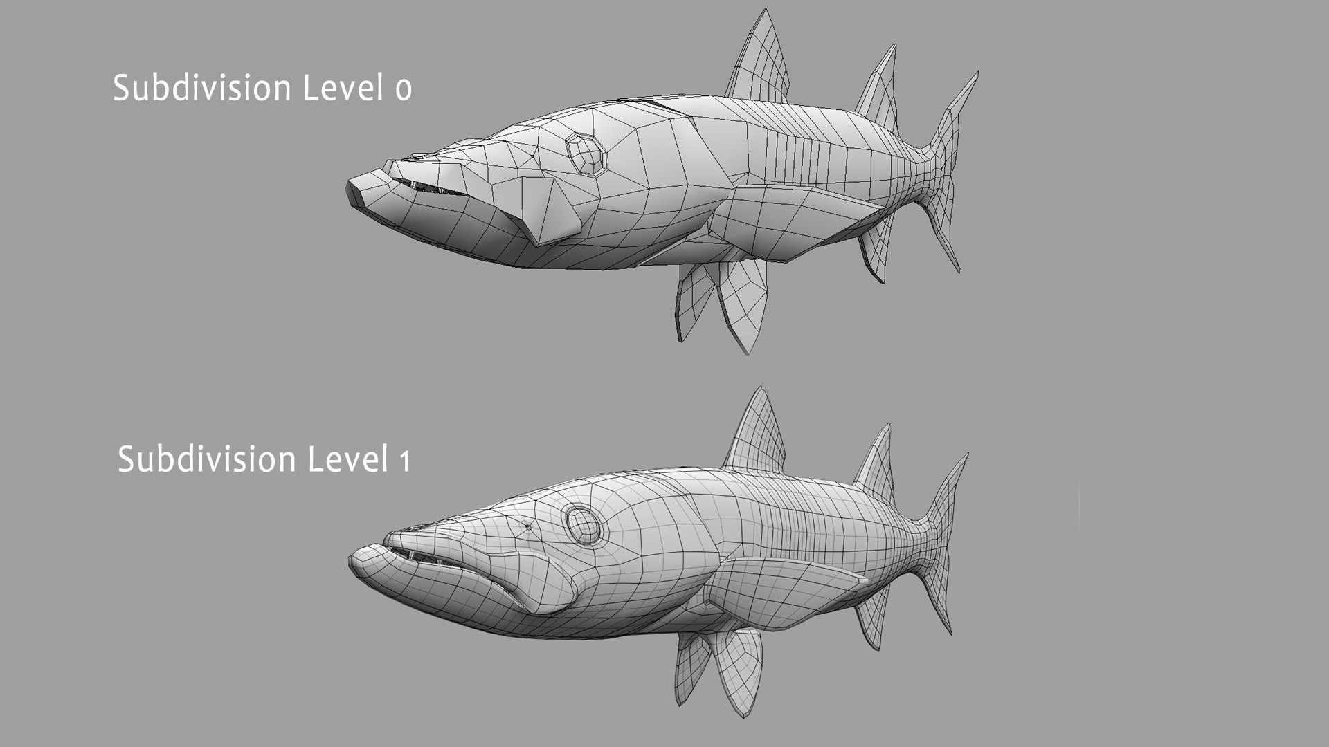 Realistic Barracuda Fish 3d Lwo
