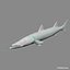 realistic barracuda fish 3d lwo