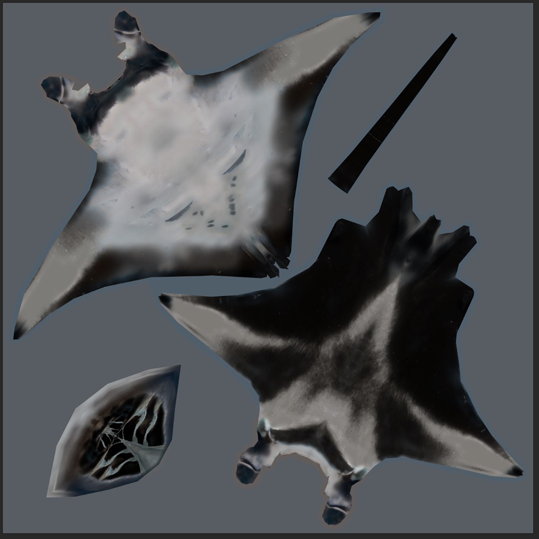 Manta Ray 8K- 3d animated 3D - TurboSquid 2159060