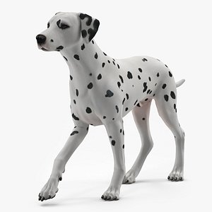 Animated Dog 3D Models With Enhanced License Tiers For Download ...