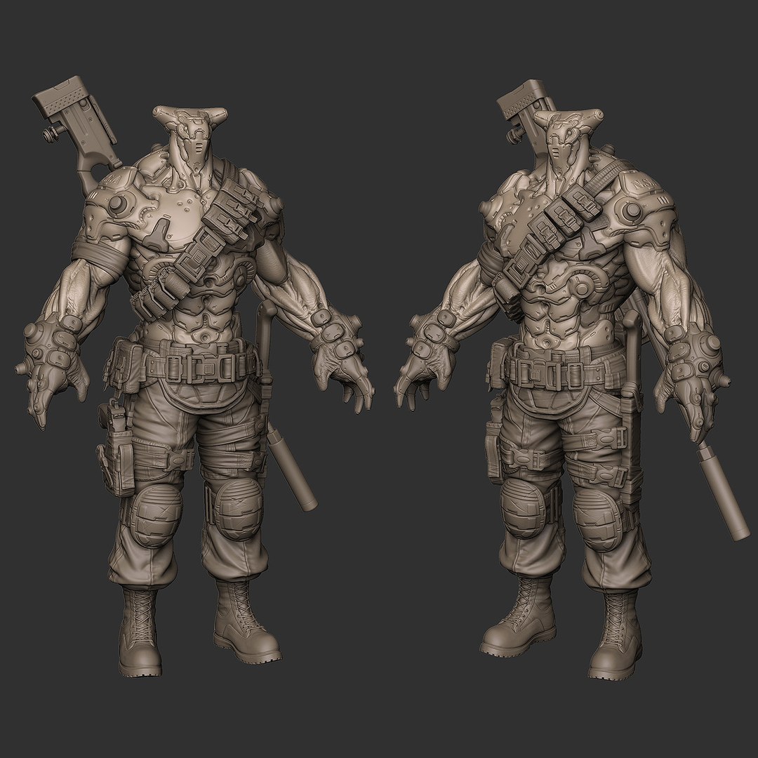 3d Military Character