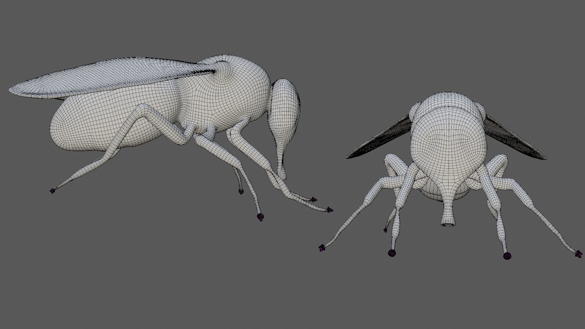 Housefly 3D Model - TurboSquid 1781902