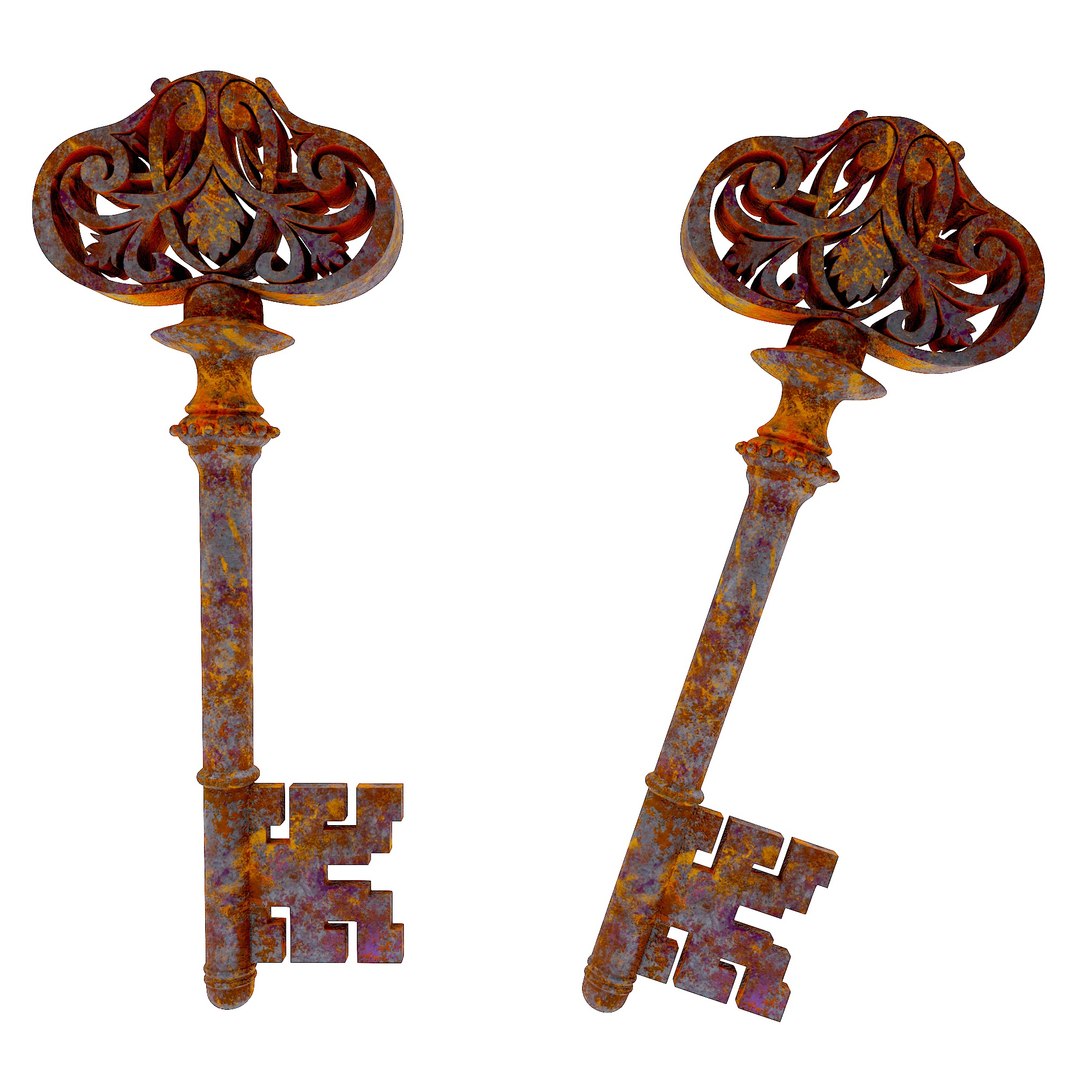 Skeleton Key Rusty 3D Model - TurboSquid 1986670