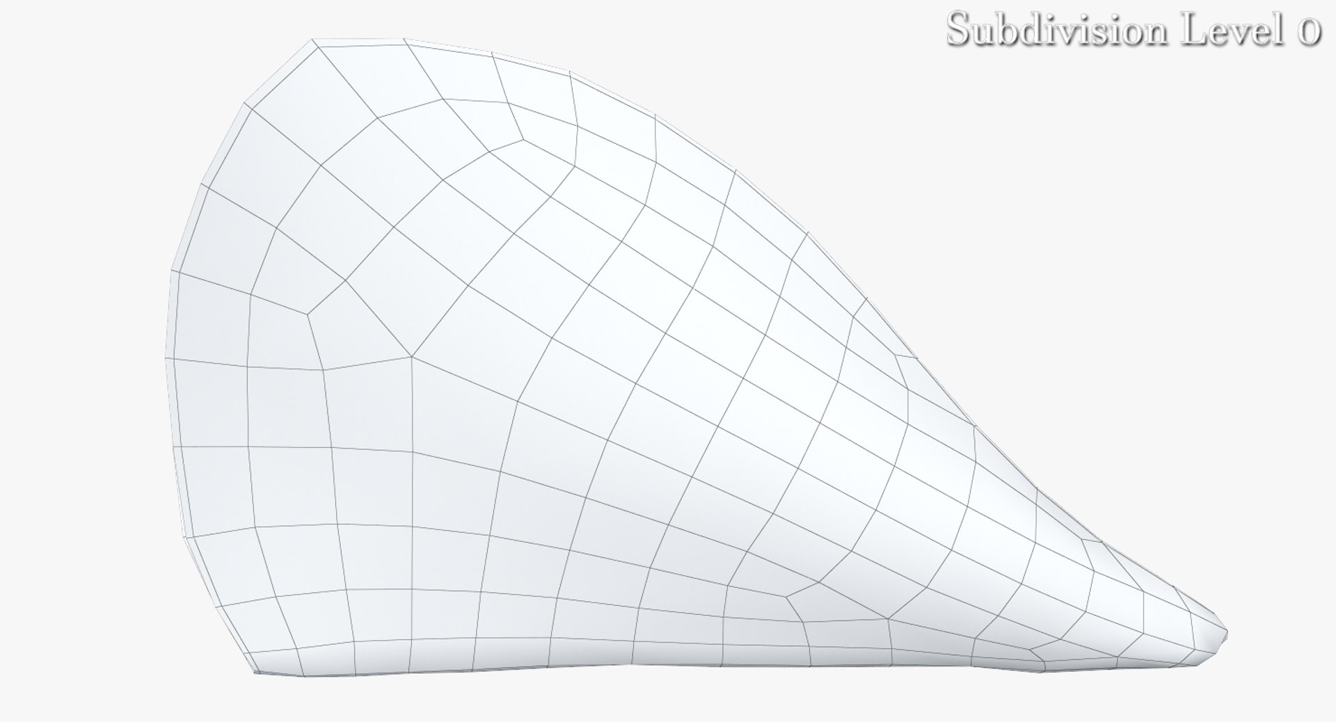 3d model big mussel sea shell