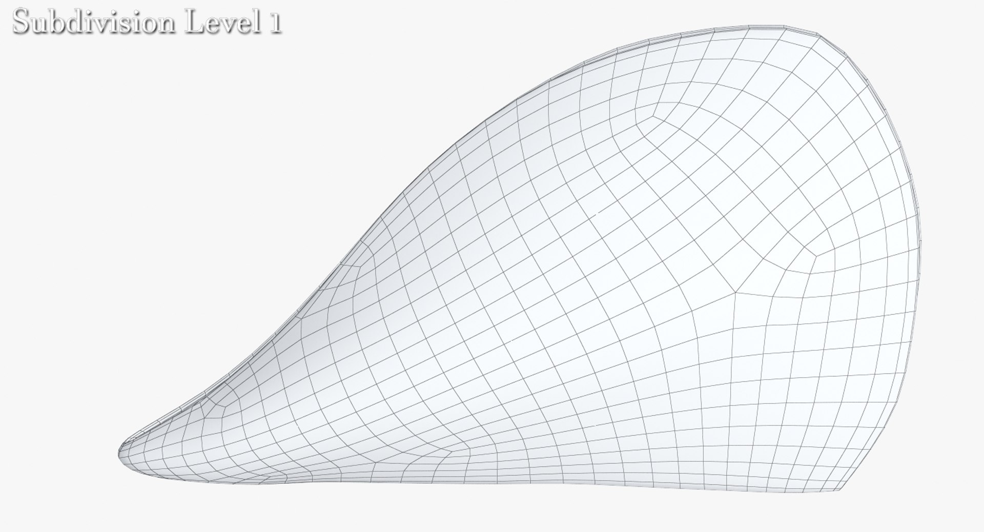 3d model big mussel sea shell