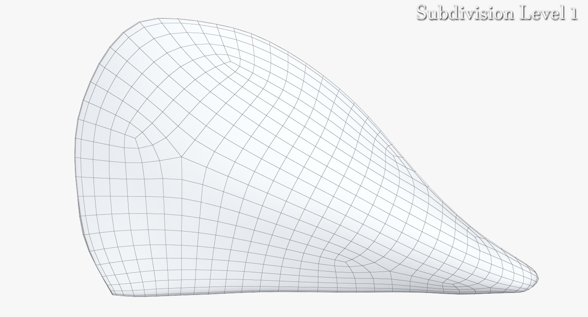 3d model big mussel sea shell