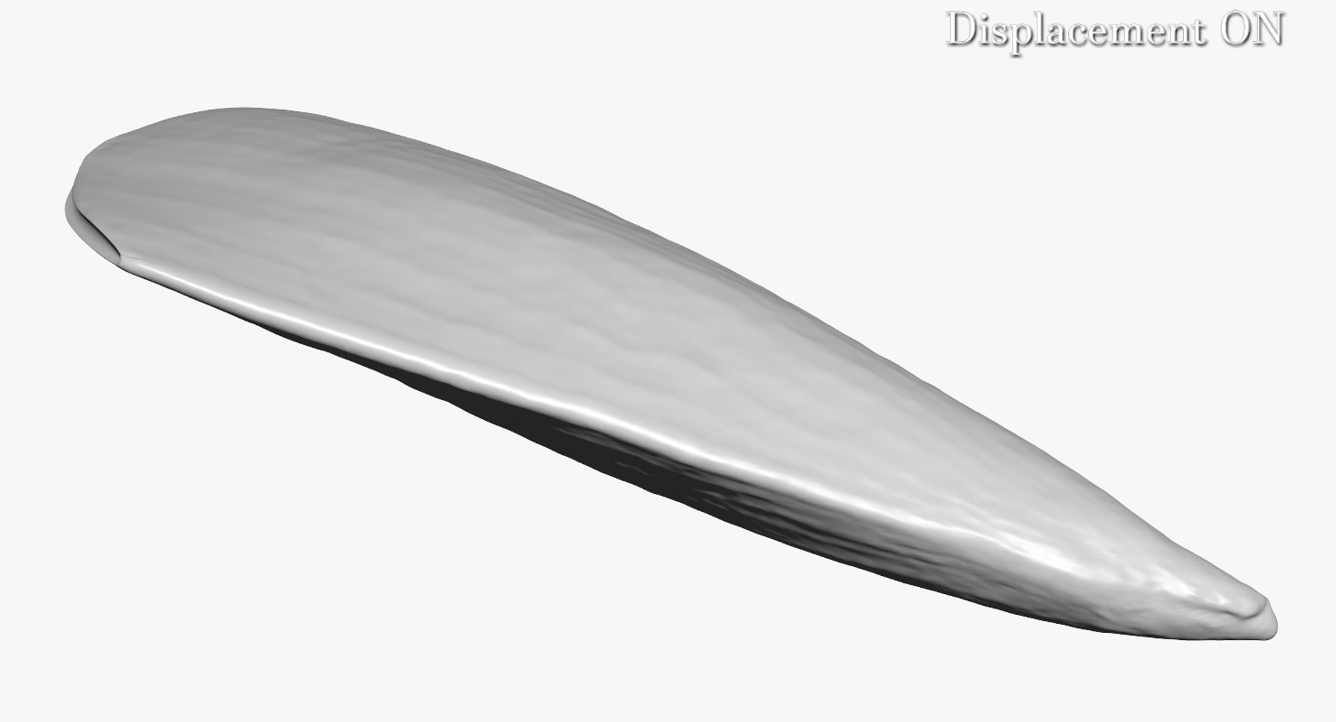 3d model big mussel sea shell