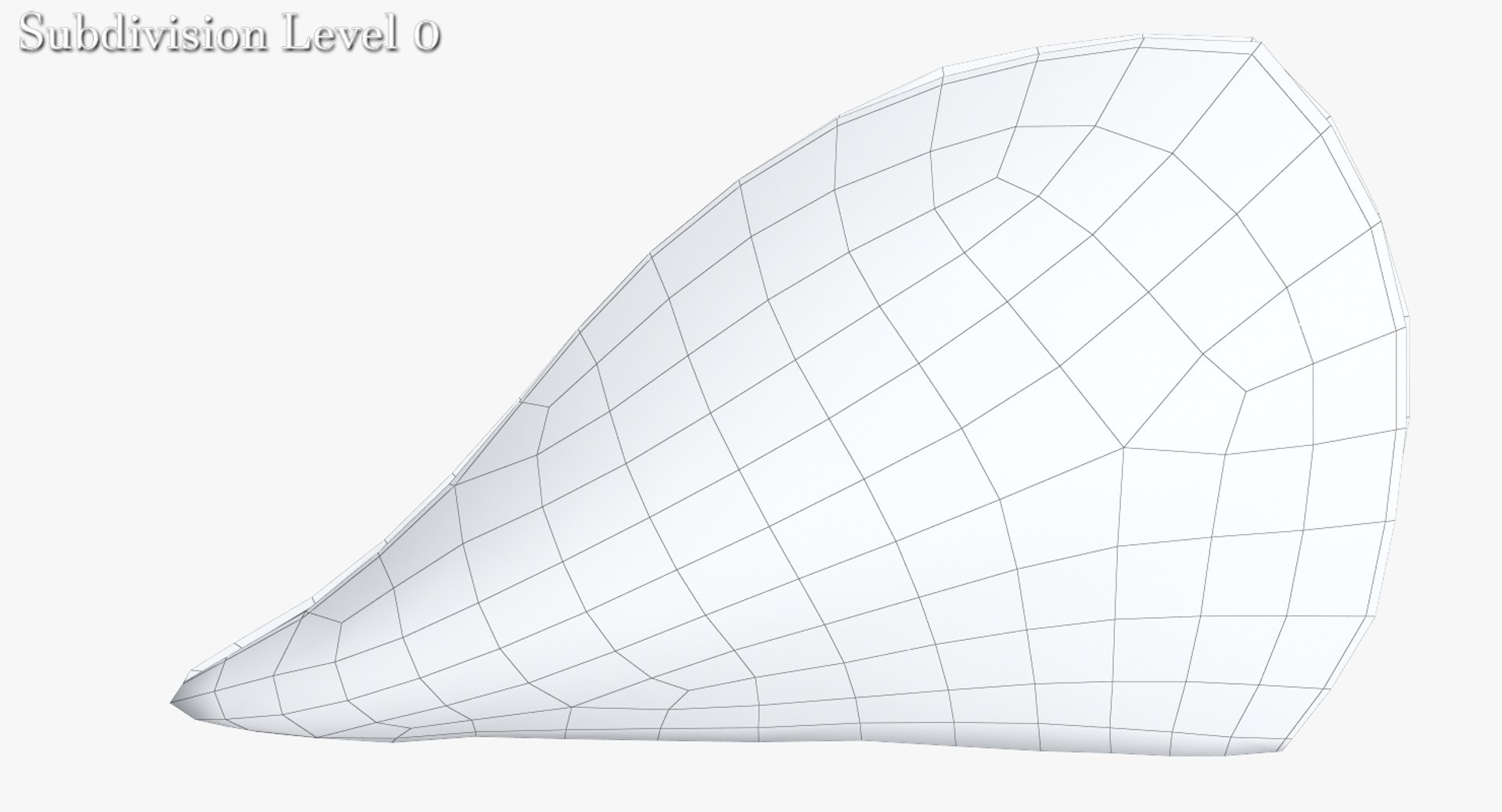 3d model big mussel sea shell