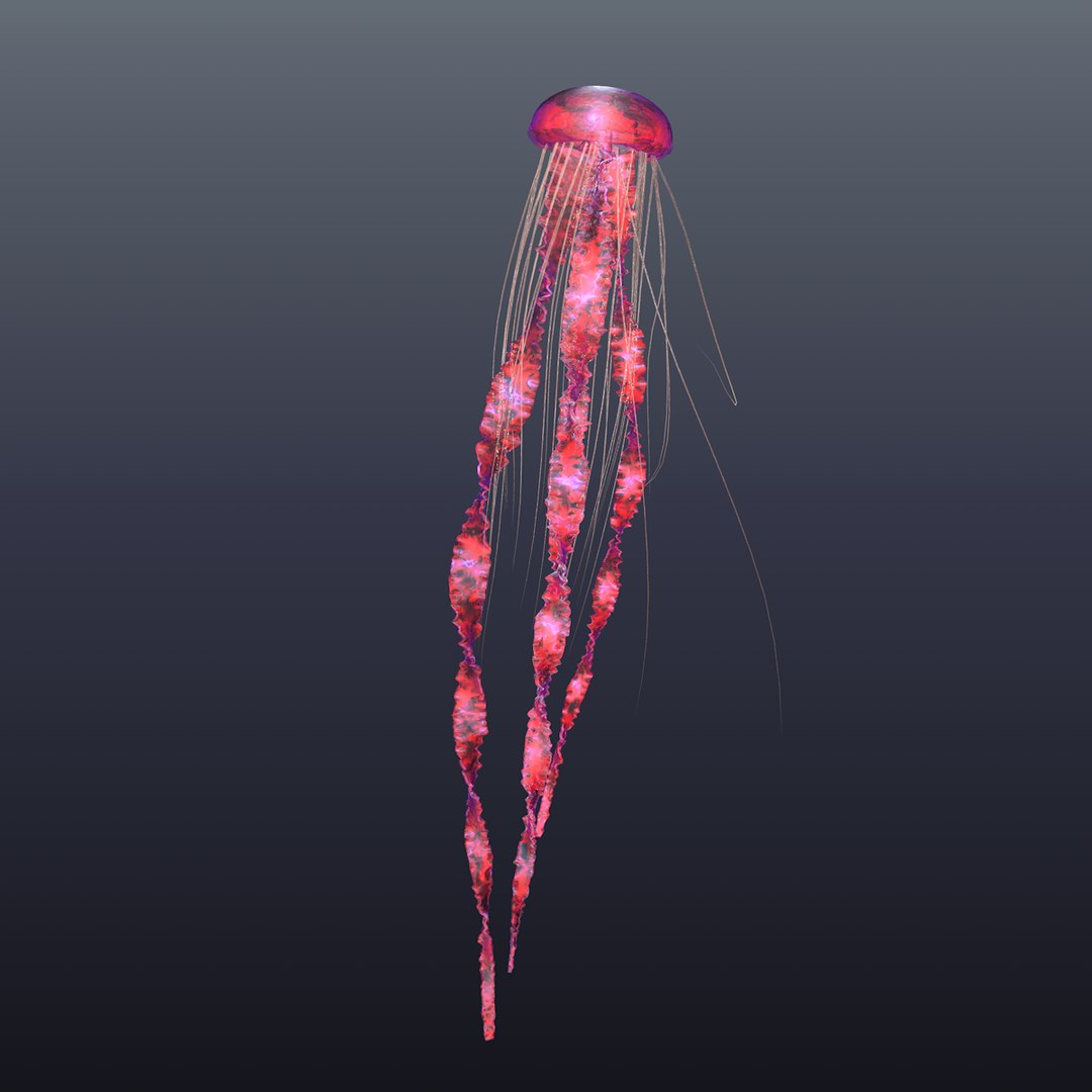 Realistic Jellyfish Model - TurboSquid 1453715