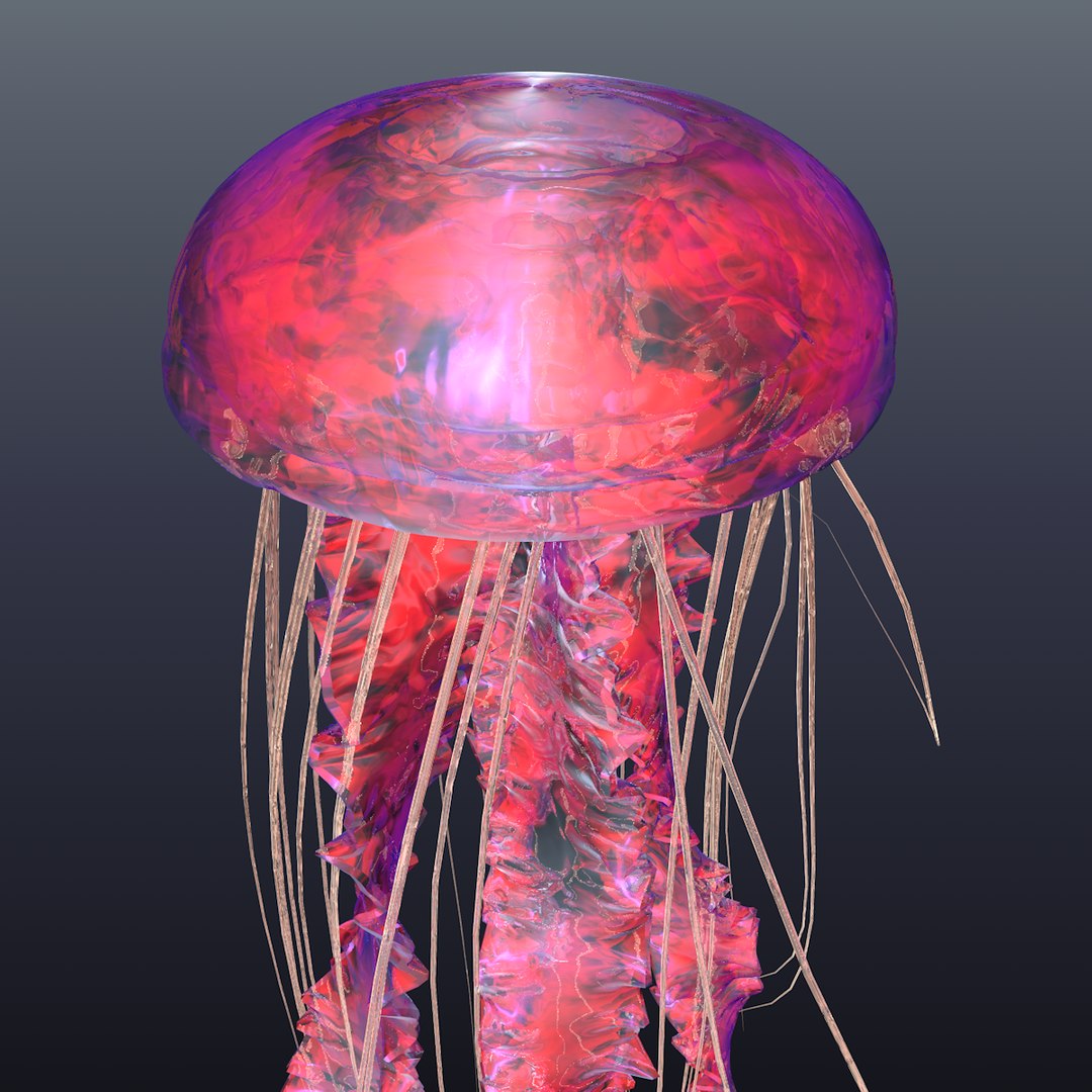 Realistic Jellyfish Model - TurboSquid 1453715