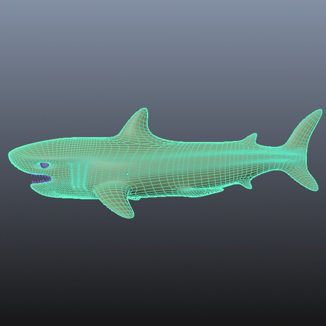 Rigged Sharks Animate 3D Model - TurboSquid 1589218