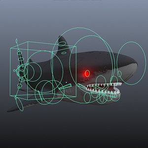 Shark Blender Models for Download | TurboSquid