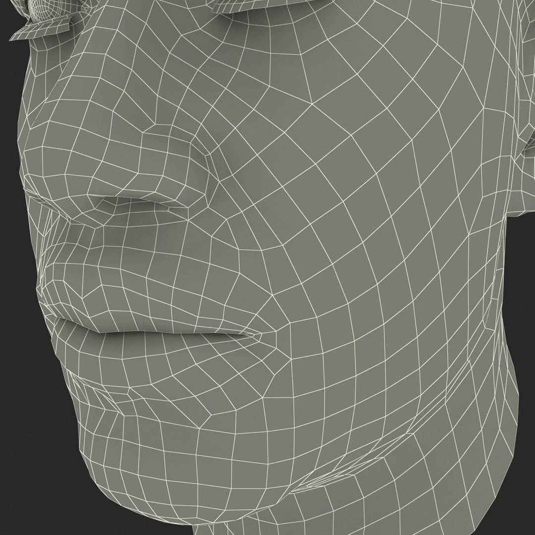 Male Head 3d Model