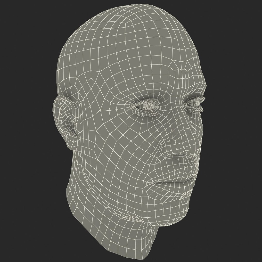 Male Head 3d Model