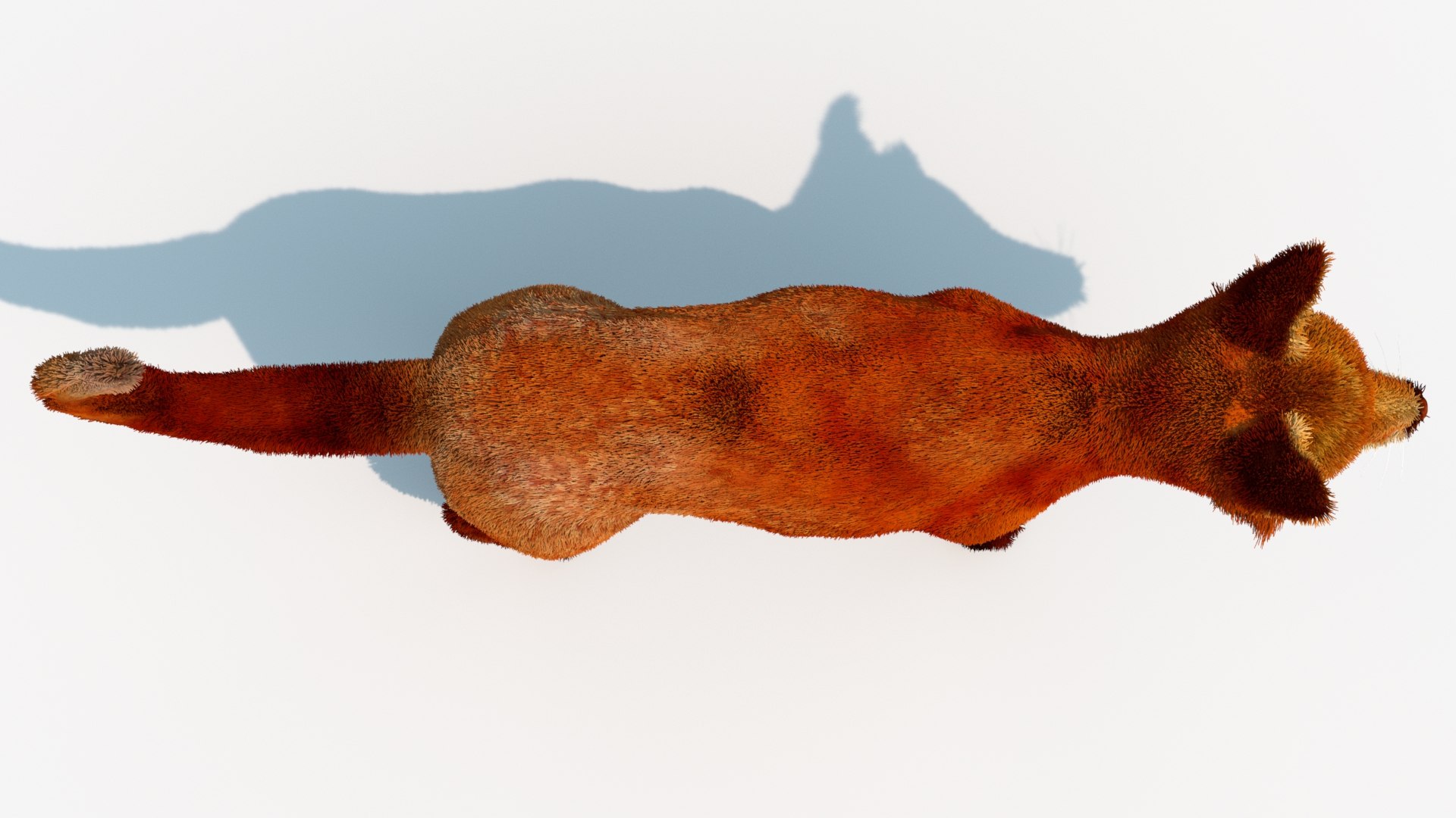 3D Model MAYA XGEN FUR Red Fox - TurboSquid 2046597