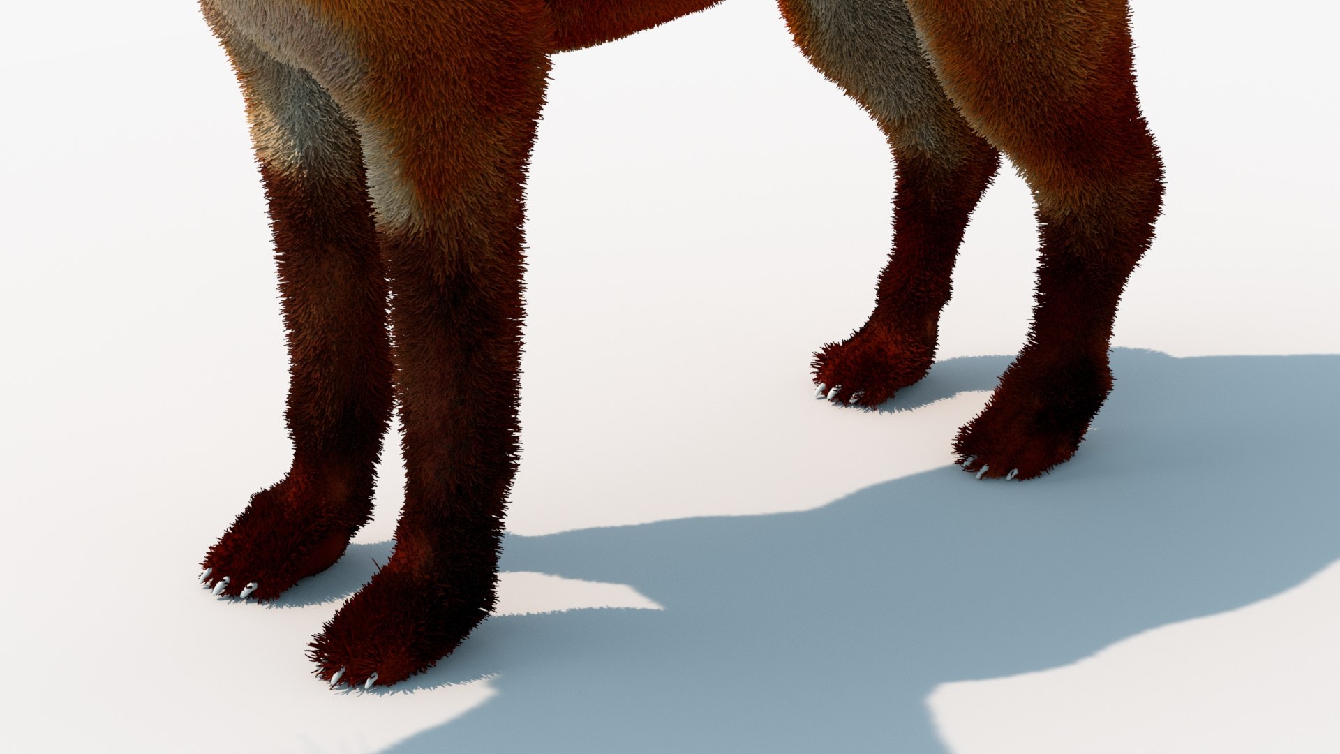 3D Model MAYA XGEN FUR Red Fox - TurboSquid 2046597