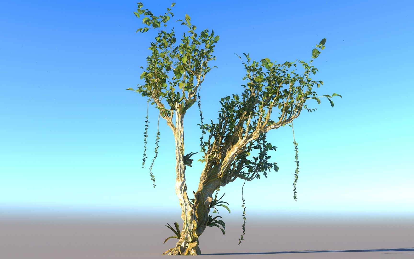 Rain Forest Ecosystems 3D Model - TurboSquid 1466073