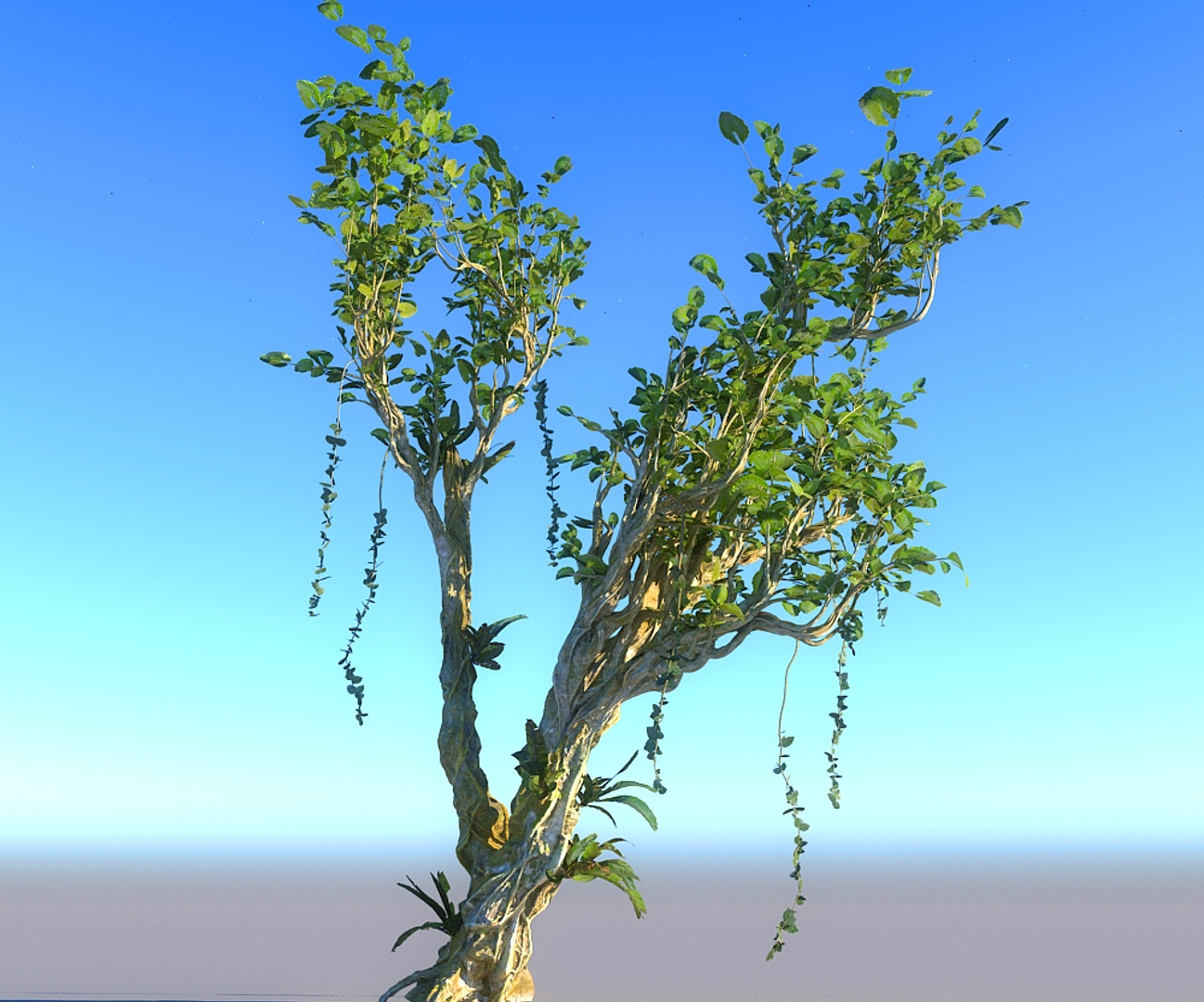 Rain Forest Ecosystems 3D Model - TurboSquid 1466073