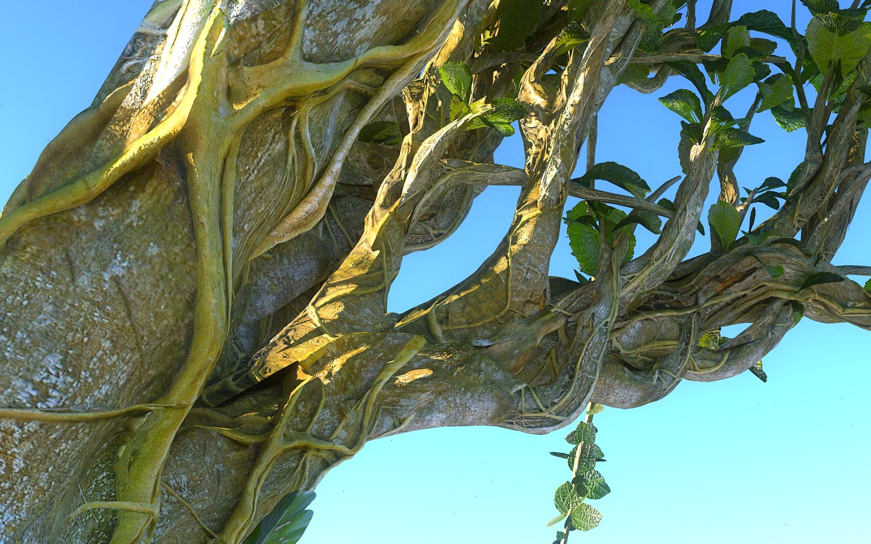 Rain Forest Ecosystems 3D Model - TurboSquid 1466073