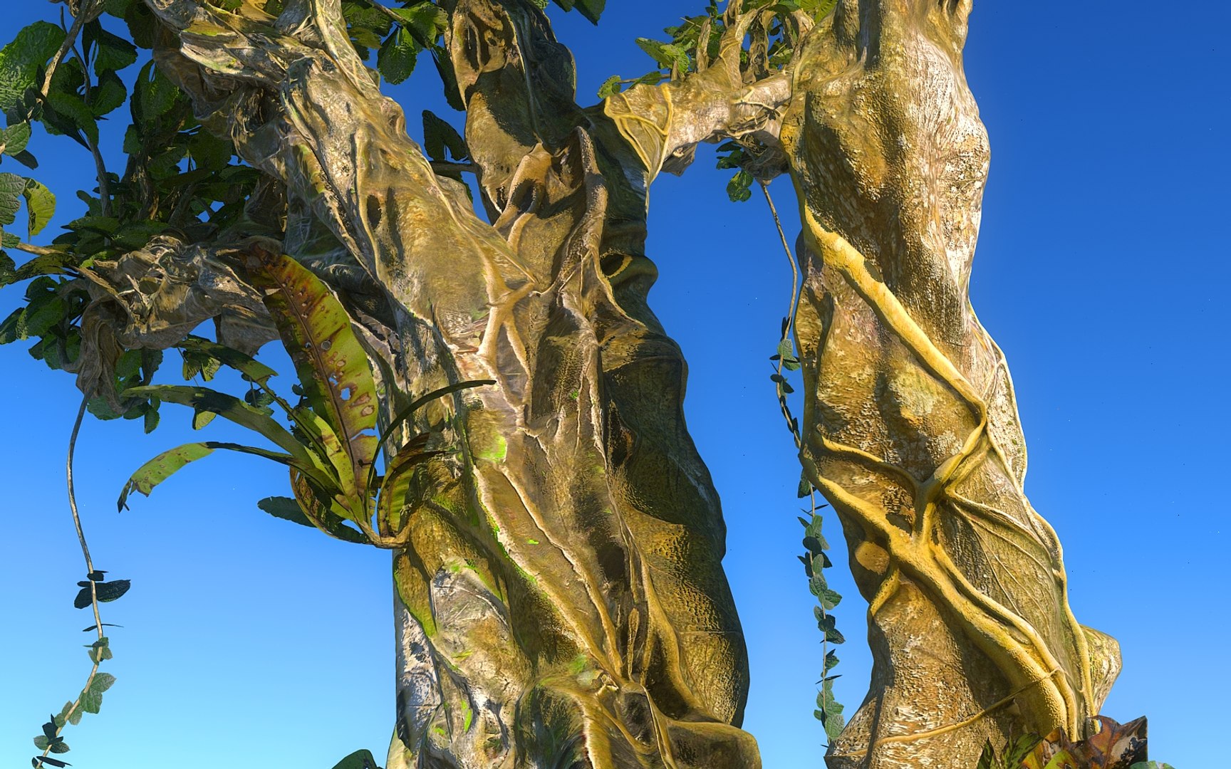 Rain Forest Ecosystems 3D Model - TurboSquid 1466073