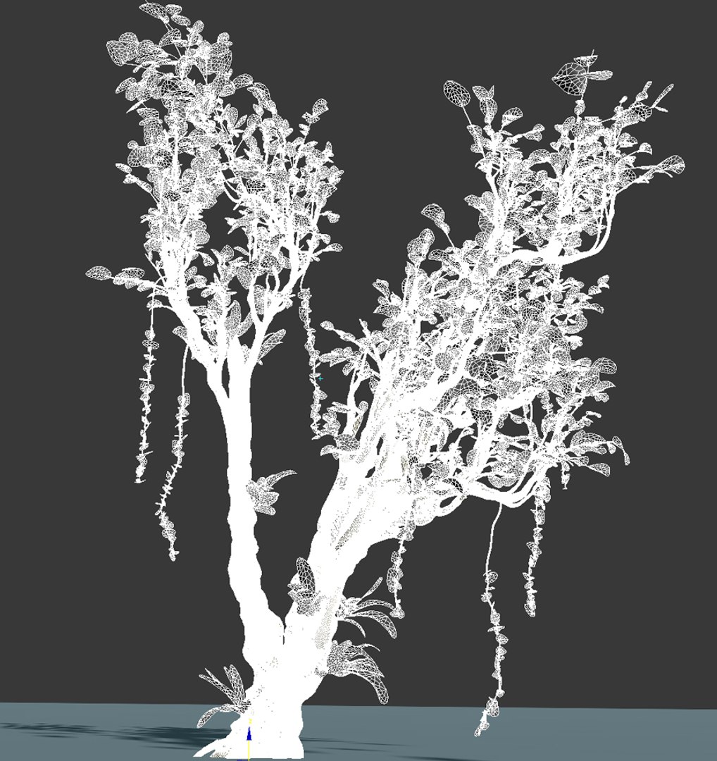 Rain Forest Ecosystems 3D Model - TurboSquid 1466073