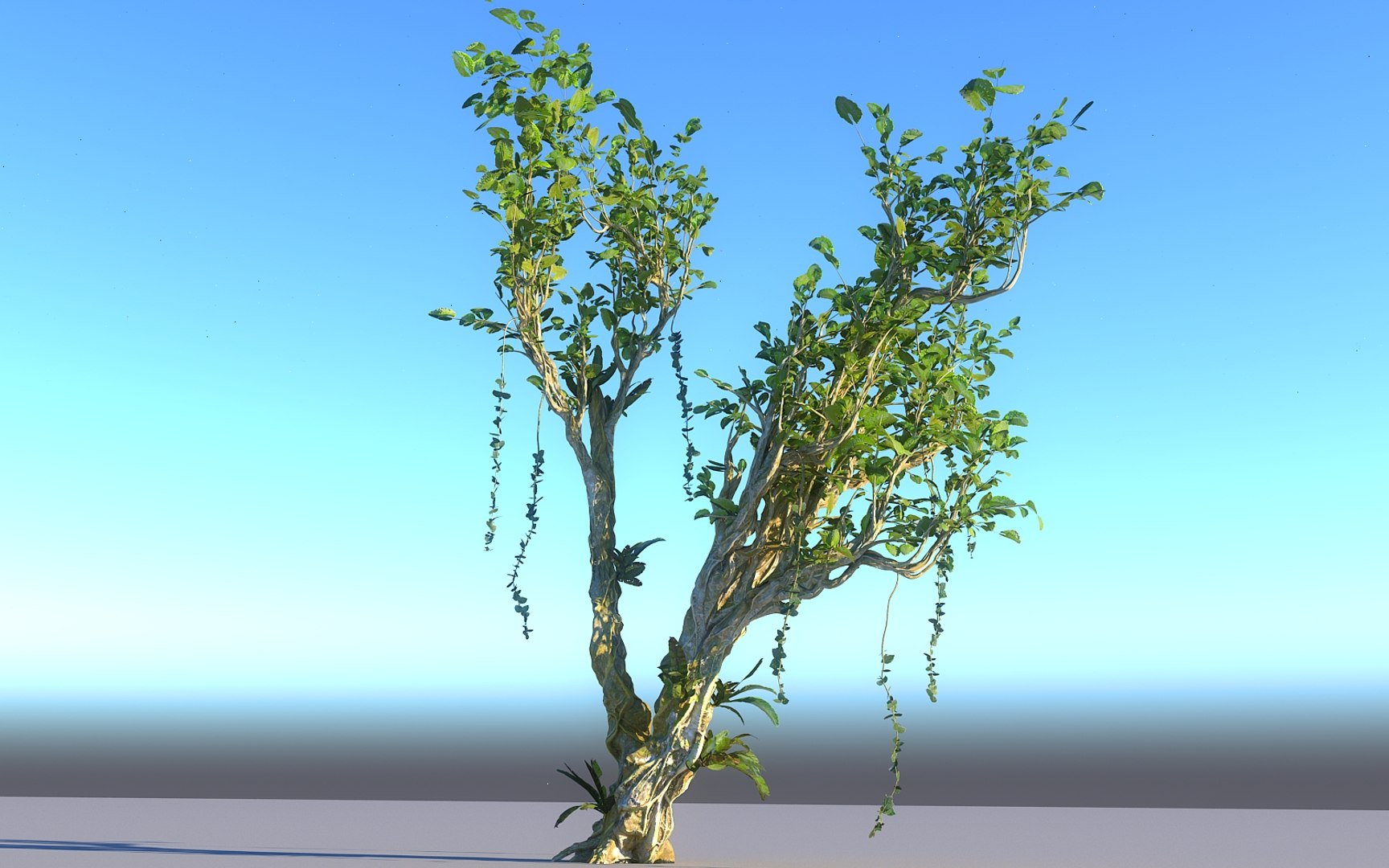 Rain Forest Ecosystems 3D Model - TurboSquid 1466073