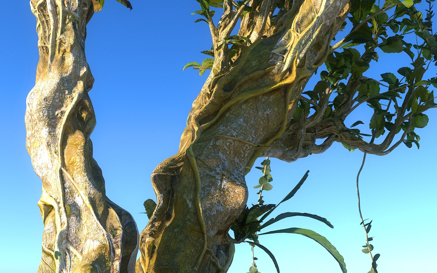 Rain Forest Ecosystems 3D Model - TurboSquid 1466073