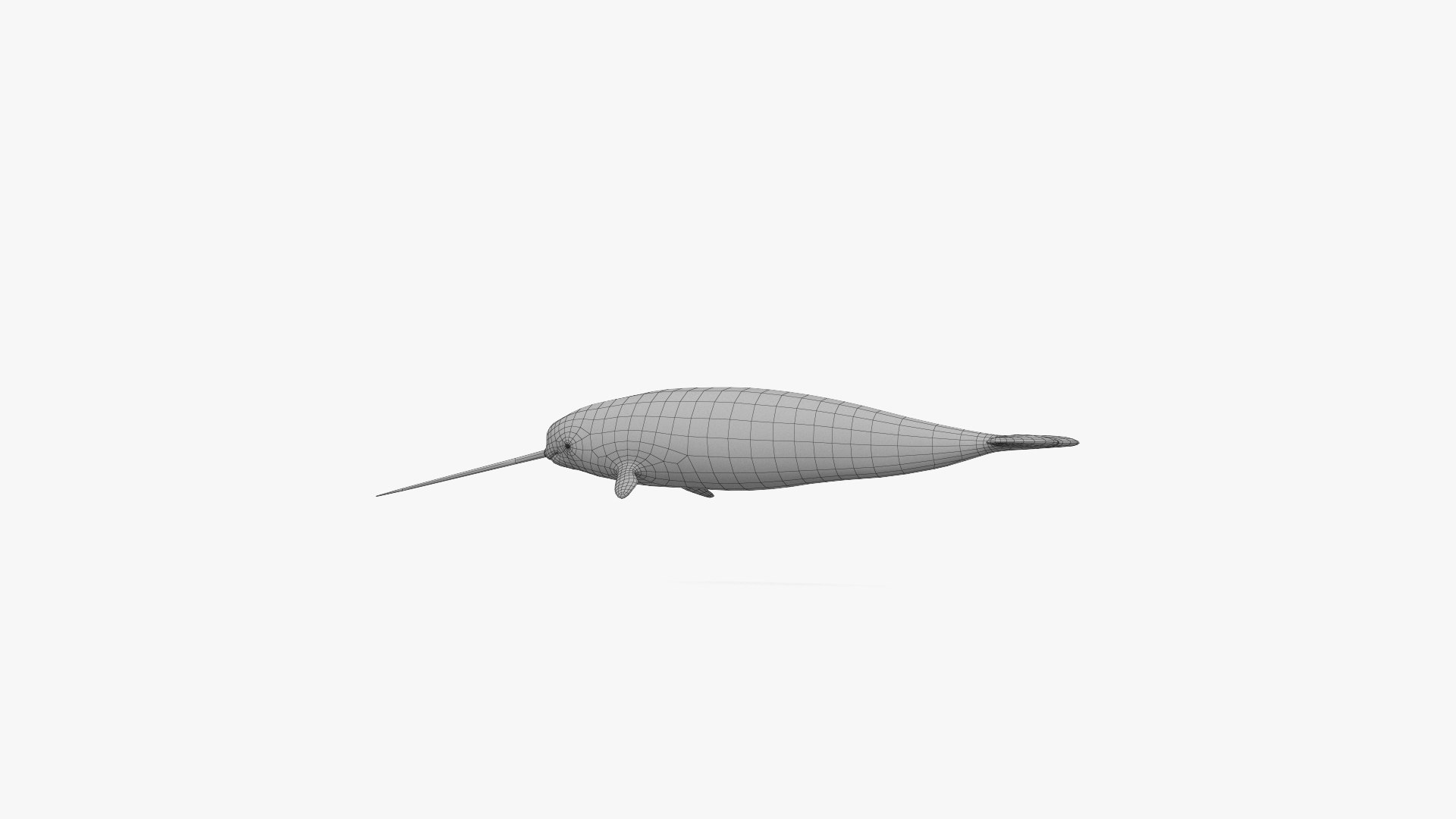 Narwhal 3D - TurboSquid 2196645
