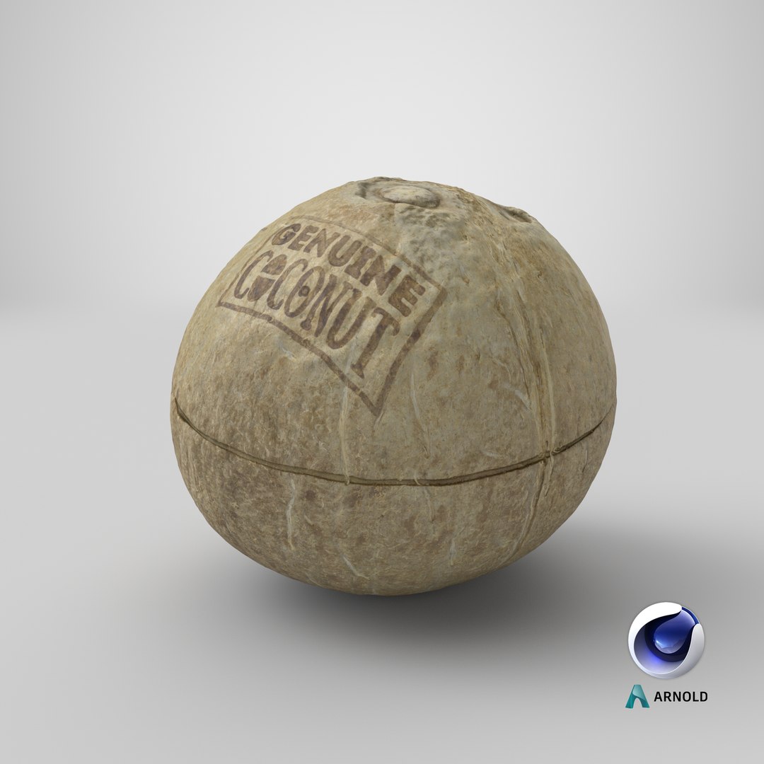 3D model coconut 01 - TurboSquid 1433950