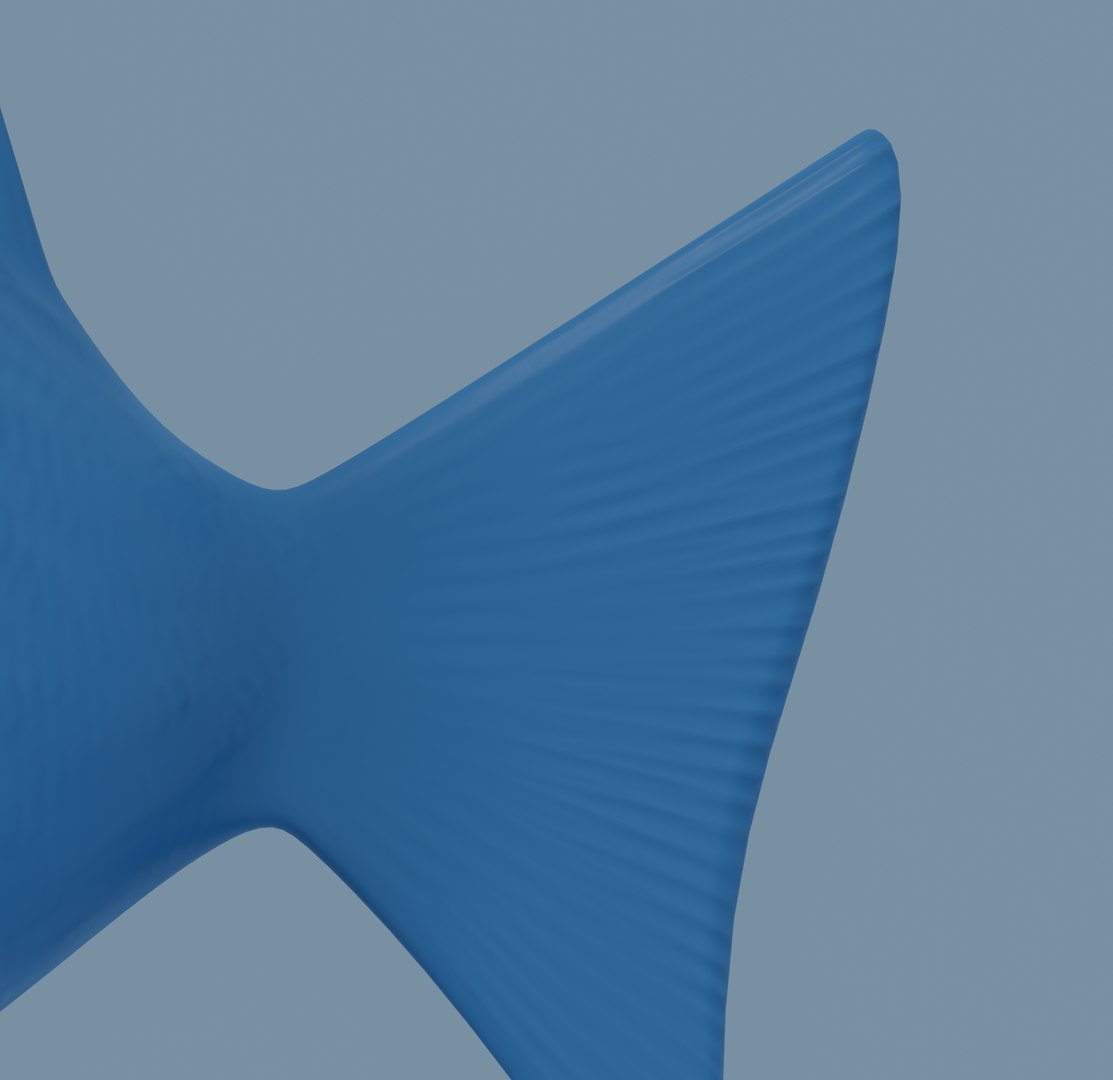 3D Model Toon Fish - TurboSquid 2131677