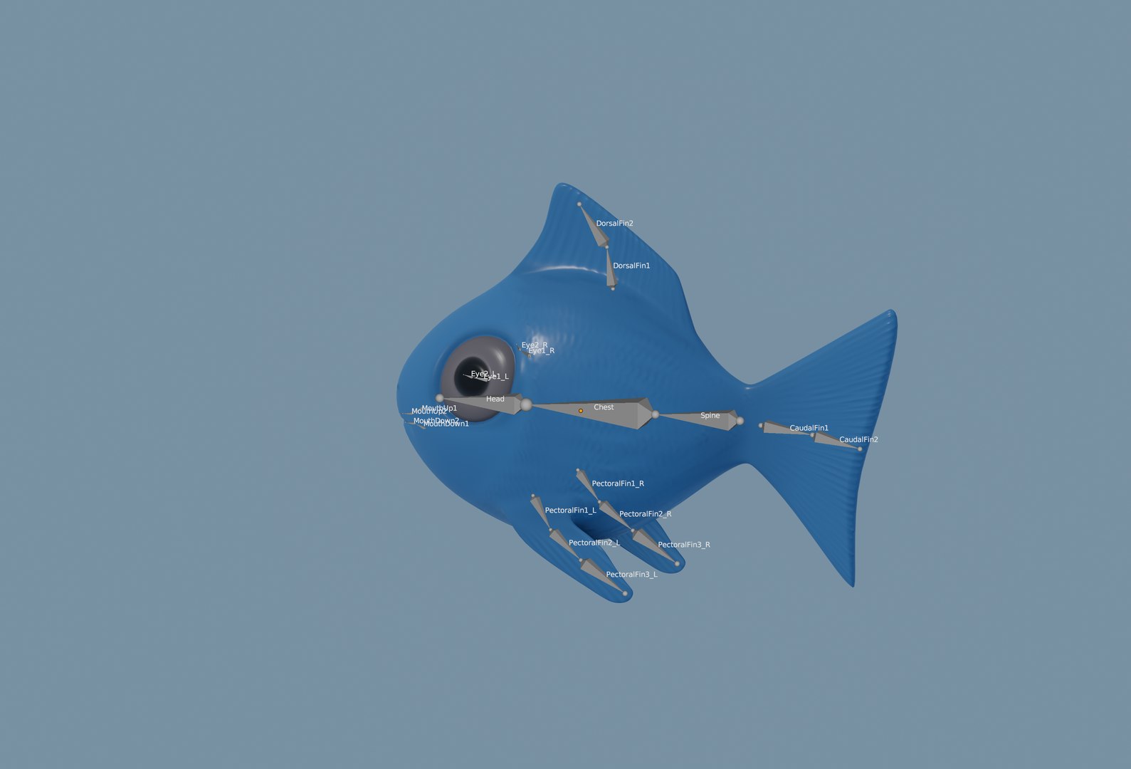 3D Model Toon Fish - TurboSquid 2131677