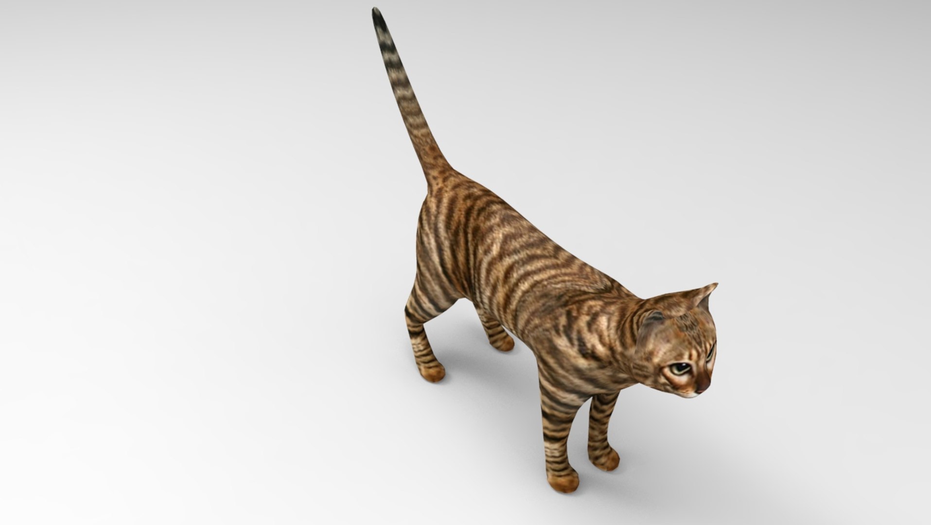 Cat Ready Obj