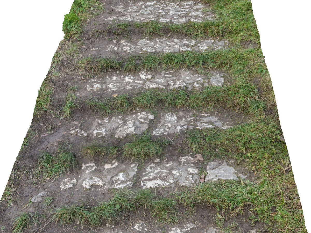 3d model of parametric editable forest stone