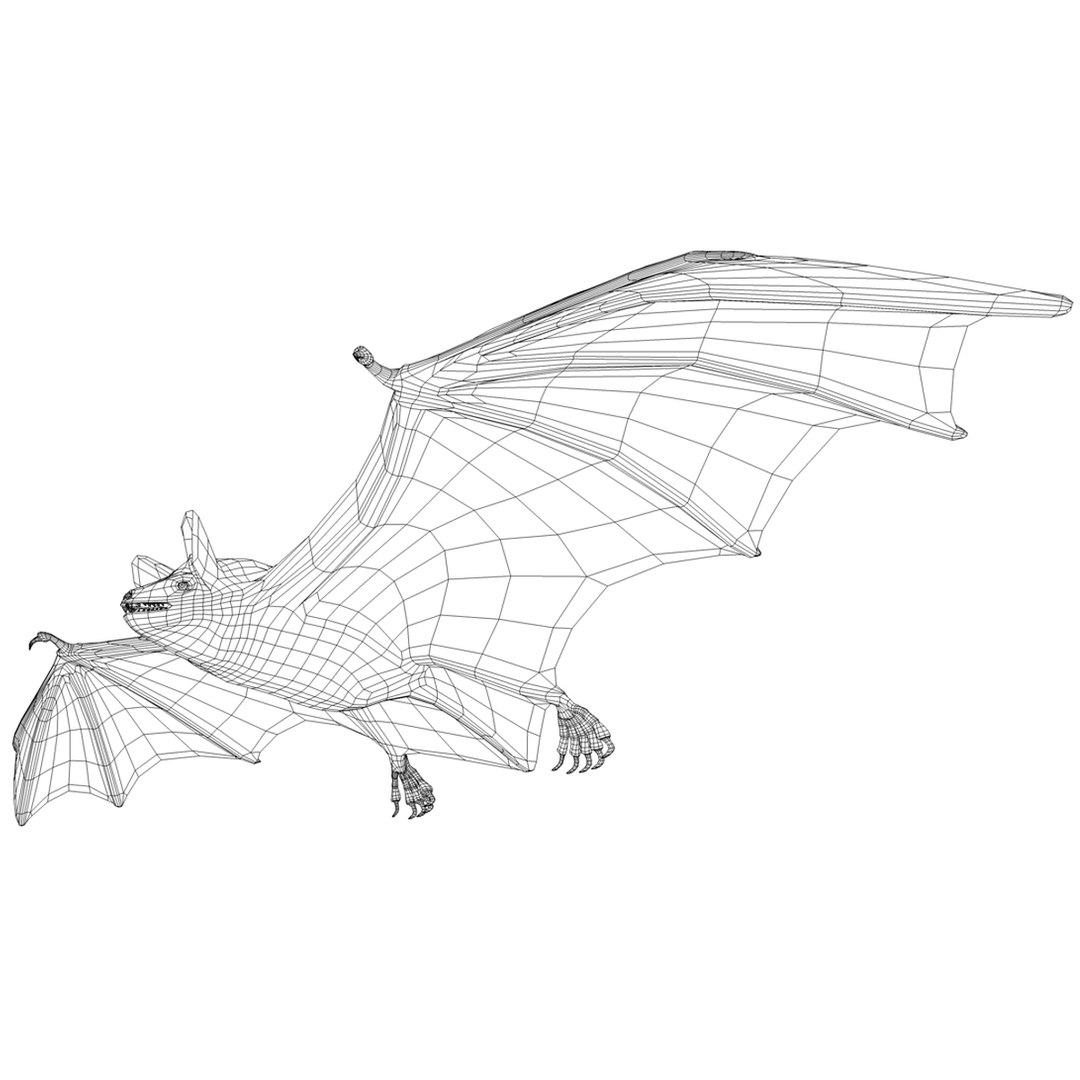 Greater Mouse-eared Bat 3ds