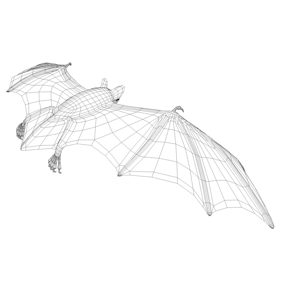 Greater Mouse-eared Bat 3ds