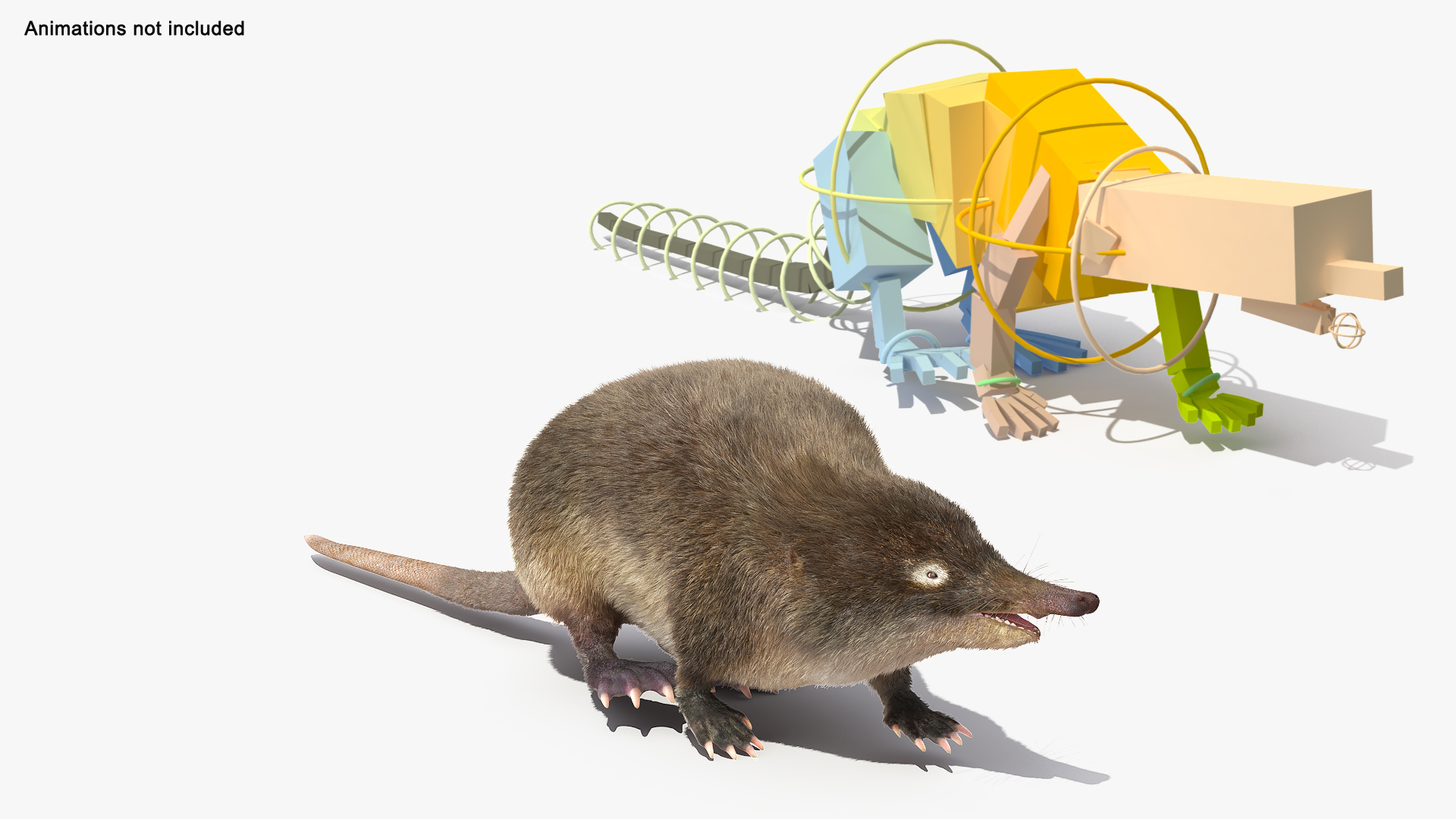 Russian Desman Fur Rigged 3D Model - TurboSquid 2190520