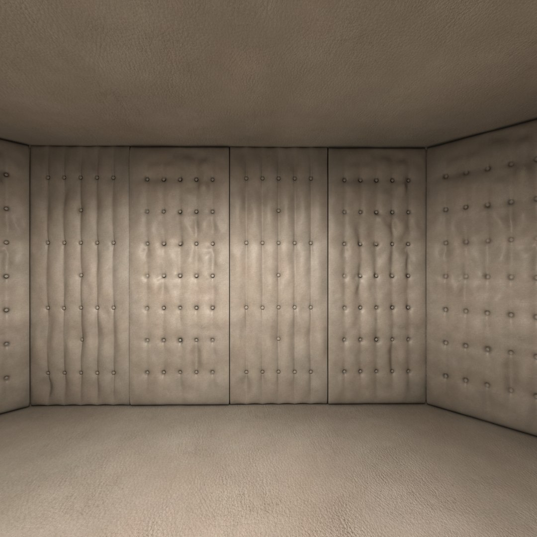 Psychiatric Room Max