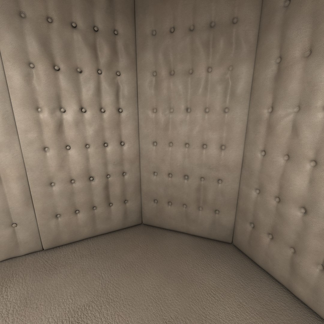 Psychiatric Room Max