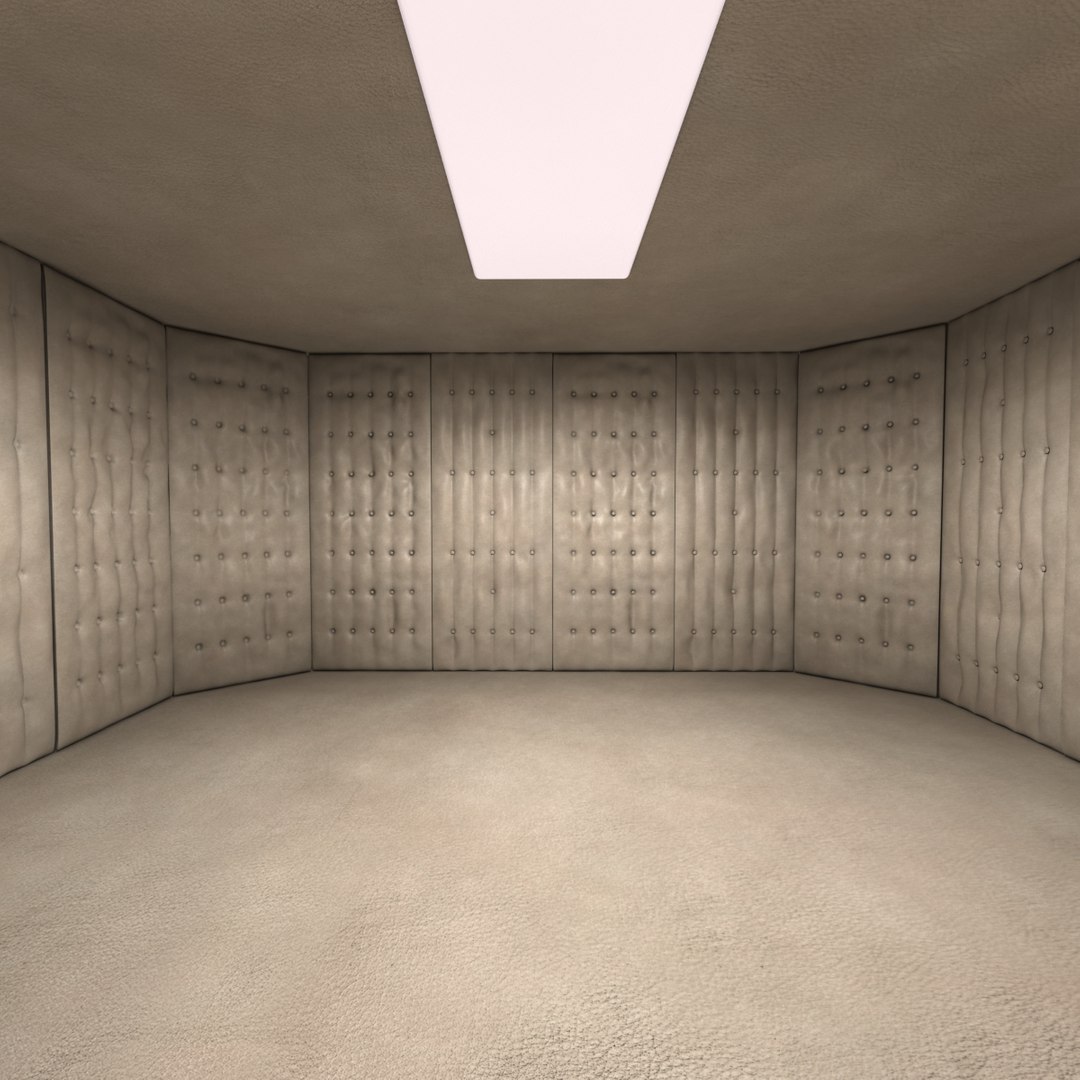 Psychiatric Room Max