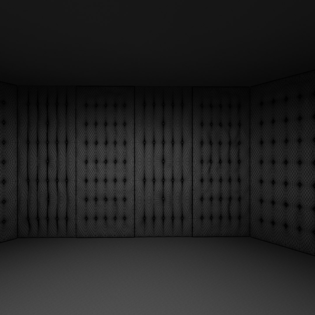 Psychiatric Room Max