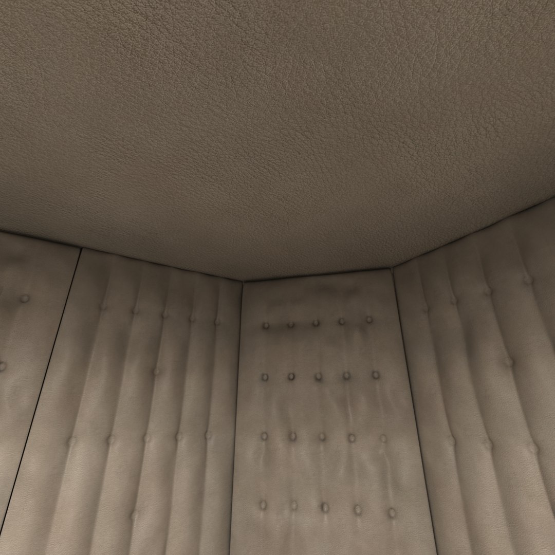 Psychiatric Room Max