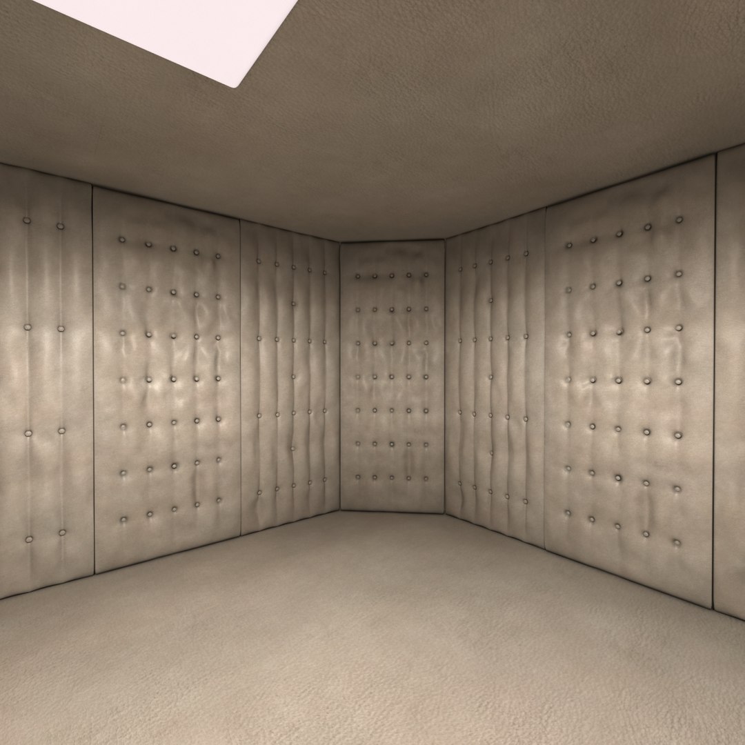 Psychiatric Room Max