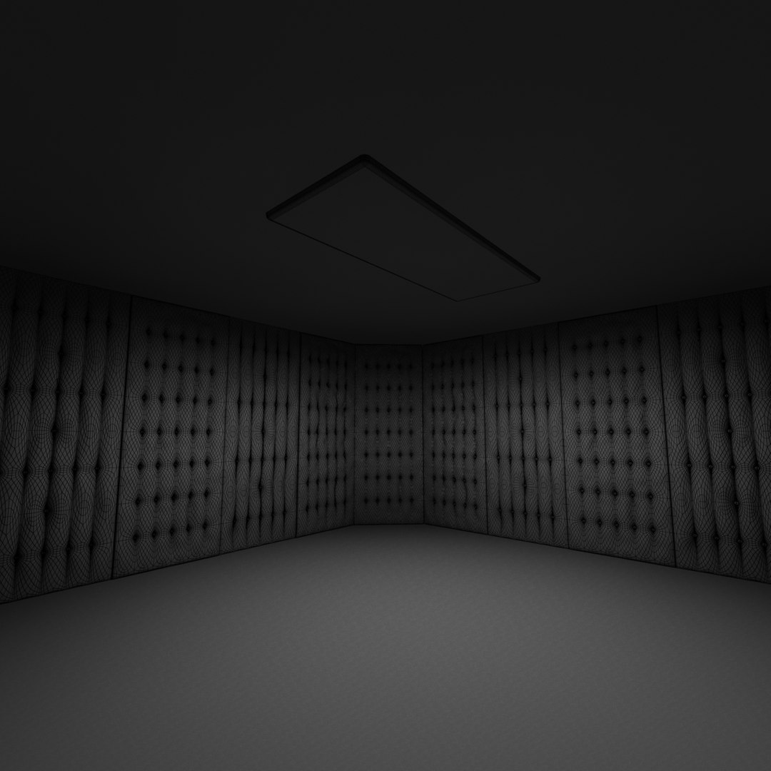 Psychiatric Room Max