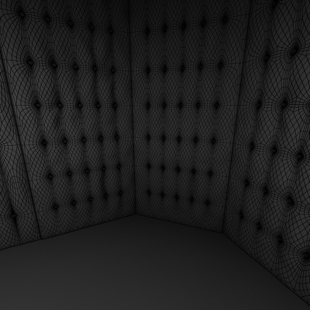 Psychiatric Room Max