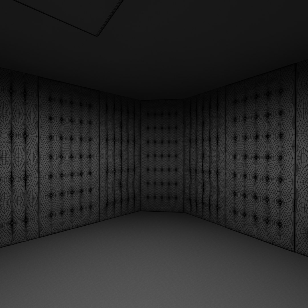 Psychiatric Room Max