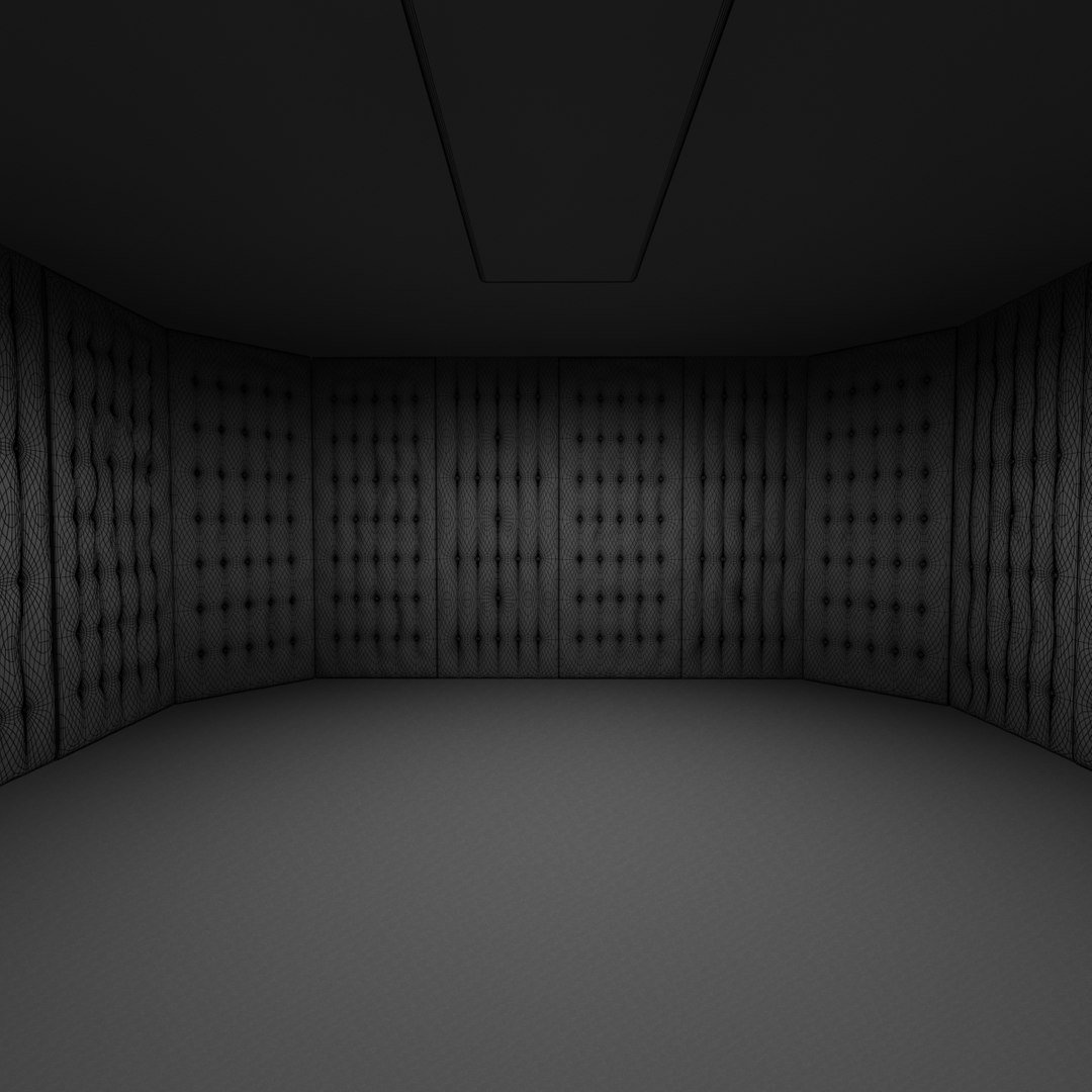 Psychiatric Room Max