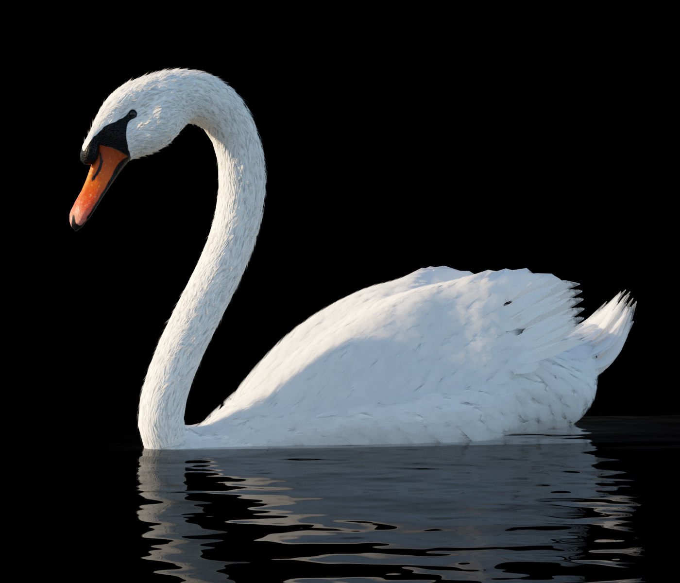 3D model white swan - TurboSquid 1478504