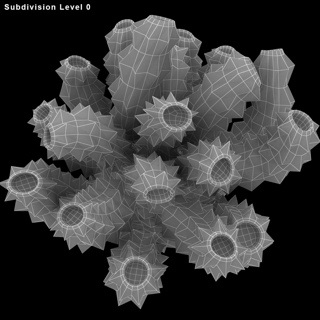 sea sponges 3d model